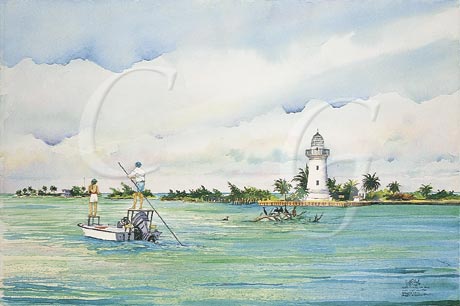 Carol Garvin Tropical Watercolors Fine Art Paintings