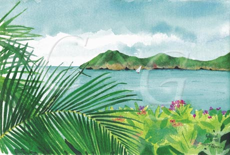 Carol Garvin Tropical Watercolors Fine Art Paintings