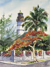 Carol Garvin Tropical Watercolors Fine Art Paintings